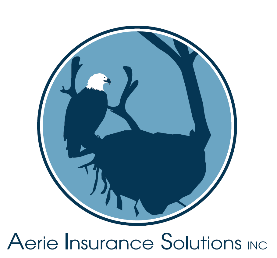 B2U Sports Management – B2U Sports – Elite Basketball Training ...